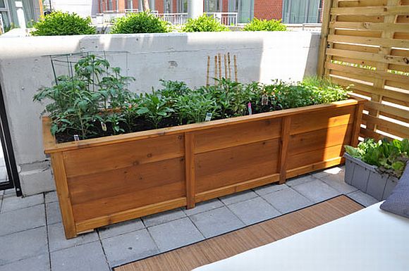 Build Your Own Container Garden