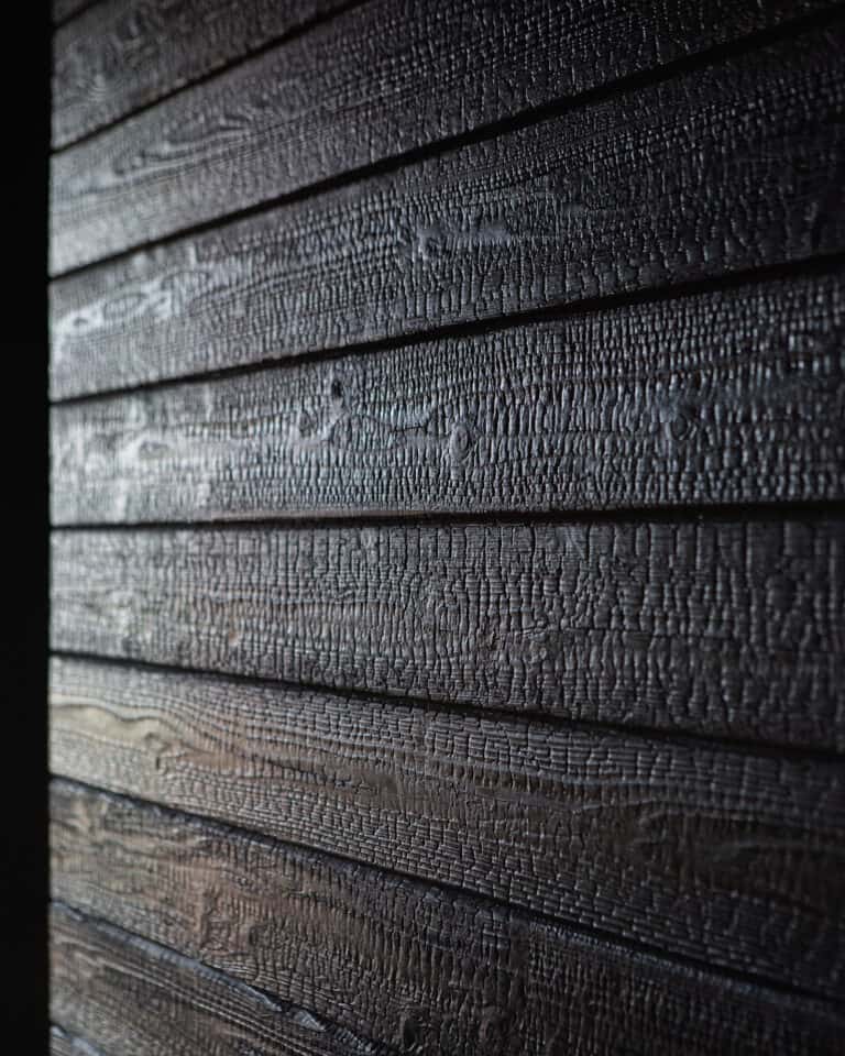 The Beauty of Nakamoto Forestry Charred Wood Siding