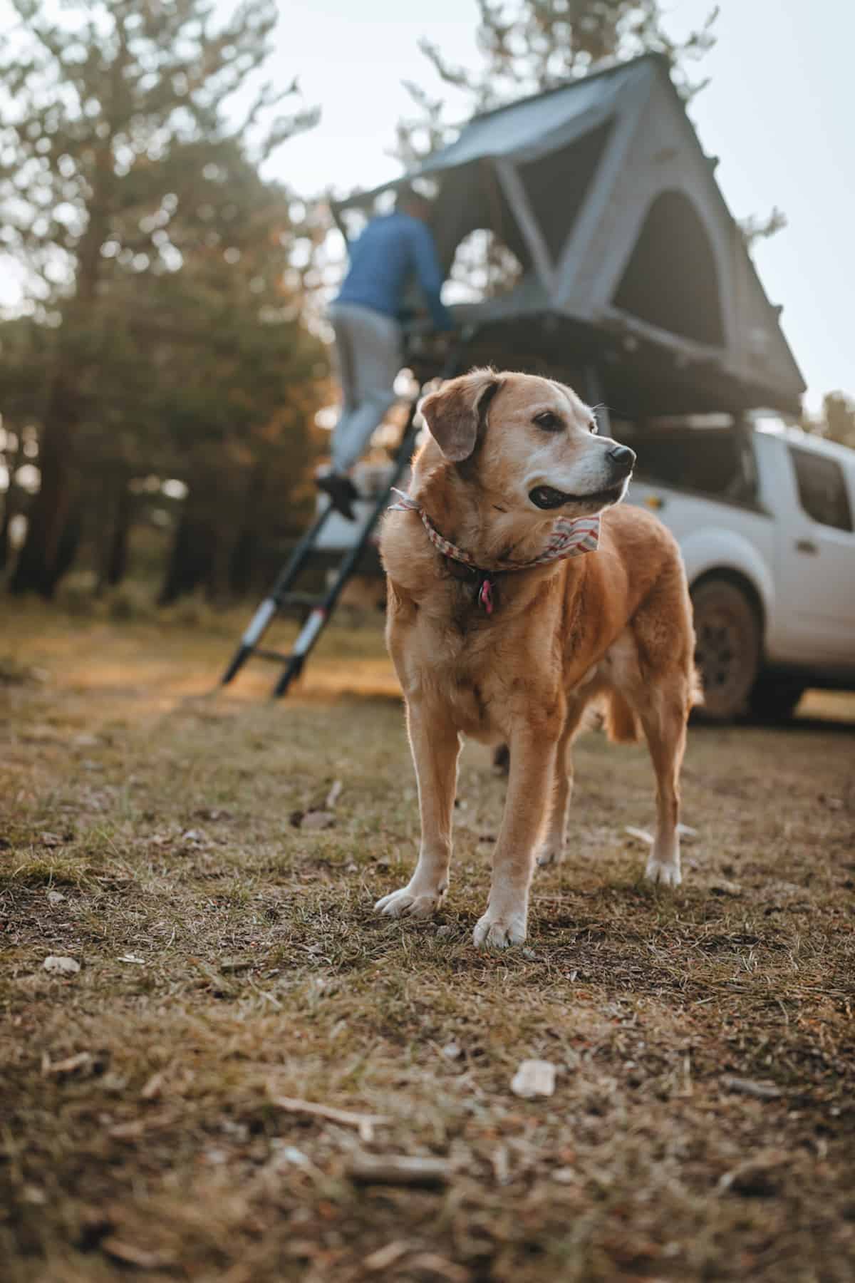 Bridgeport Camping In My 100 Series Land Cruiser