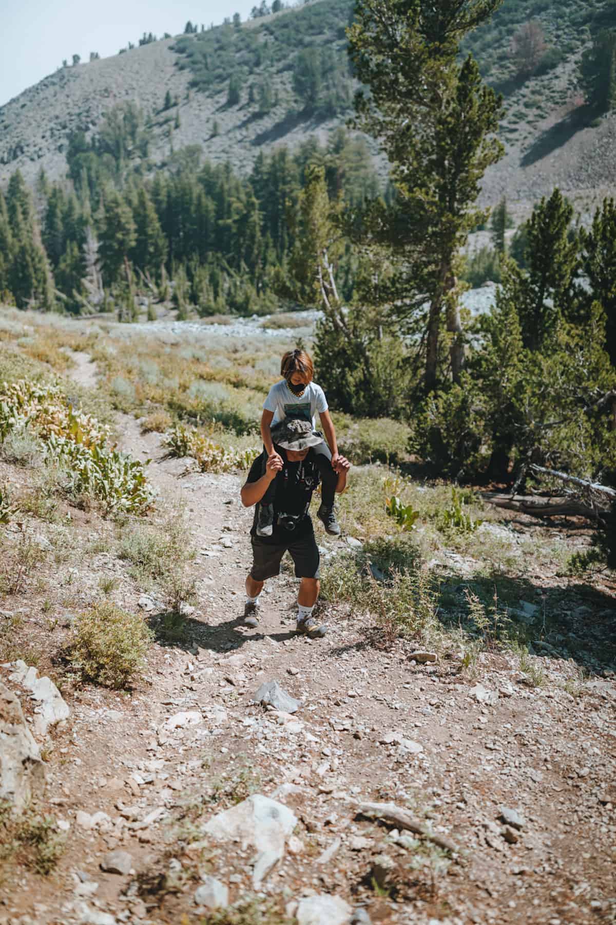 Bridgeport Camping In My 100 Series Land Cruiser