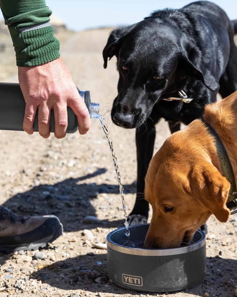 Beyond the Cooler: The Top 5 YETI Products You Didn't Know You Needed