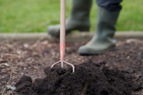 10 Surprising Benefits of Using Mulch in Your Garden