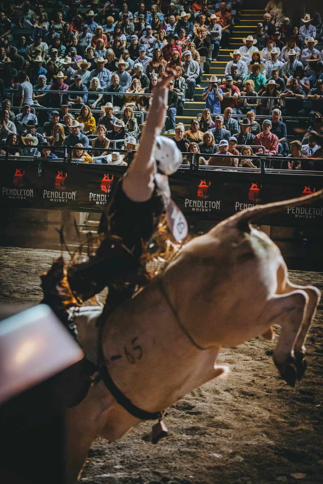 Saddle Up for the 113th Pendleton Round-Up Rodeo with Pendleton Whisky