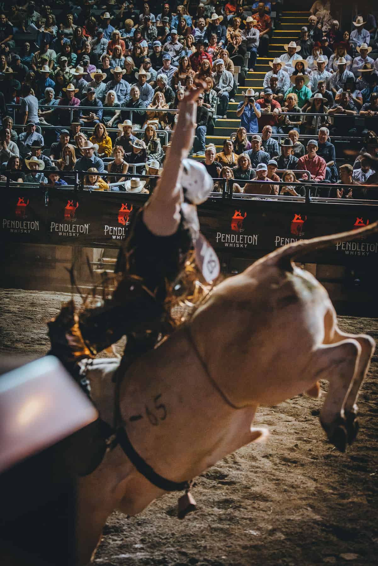 Saddle Up for the 113th Pendleton Round-Up Rodeo with Pendleton Whisky