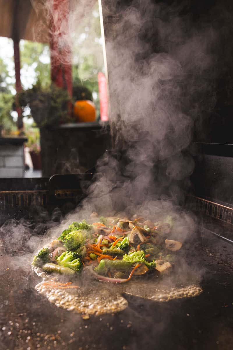 Unleash the Flavor: A Review of the Recteq SmokeStone 600 Wood-Fired ...