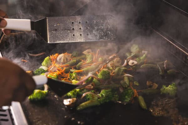 Unleash the Flavor: A Review of the Recteq SmokeStone 600 Wood-Fired ...