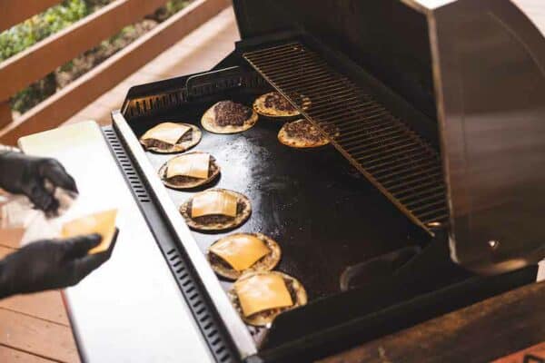 Unleash the Flavor: A Review of the Recteq SmokeStone 600 Wood-Fired ...